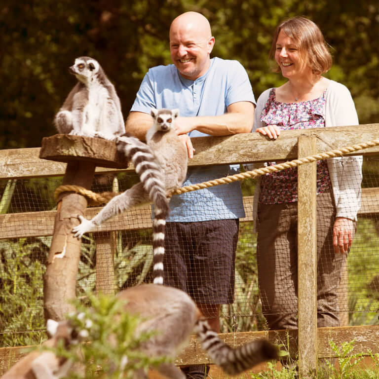 Experience Zoo Life: Real Animals, Adventures & Wildlife Conservation ...